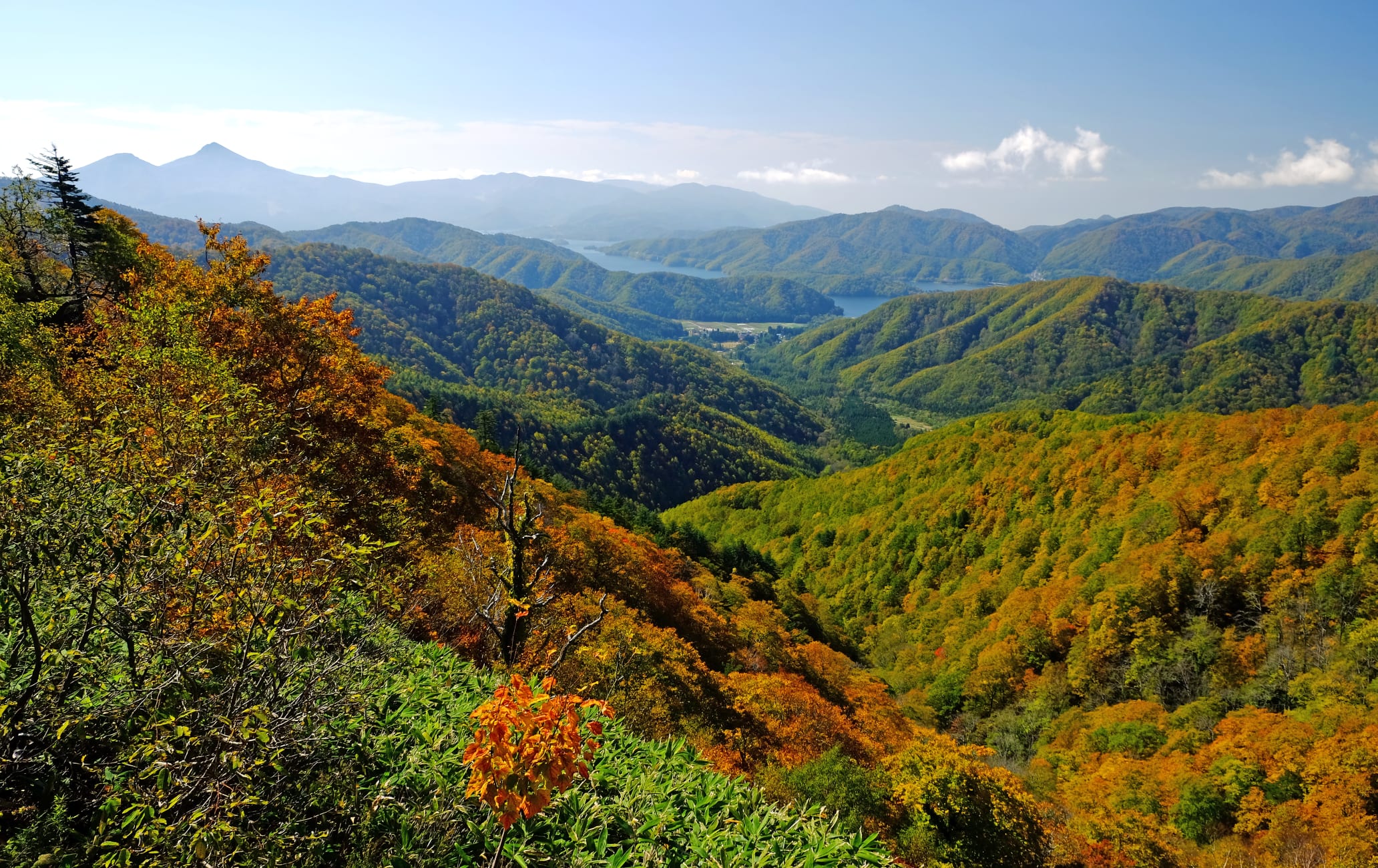Shirabu - idbackpacker.com