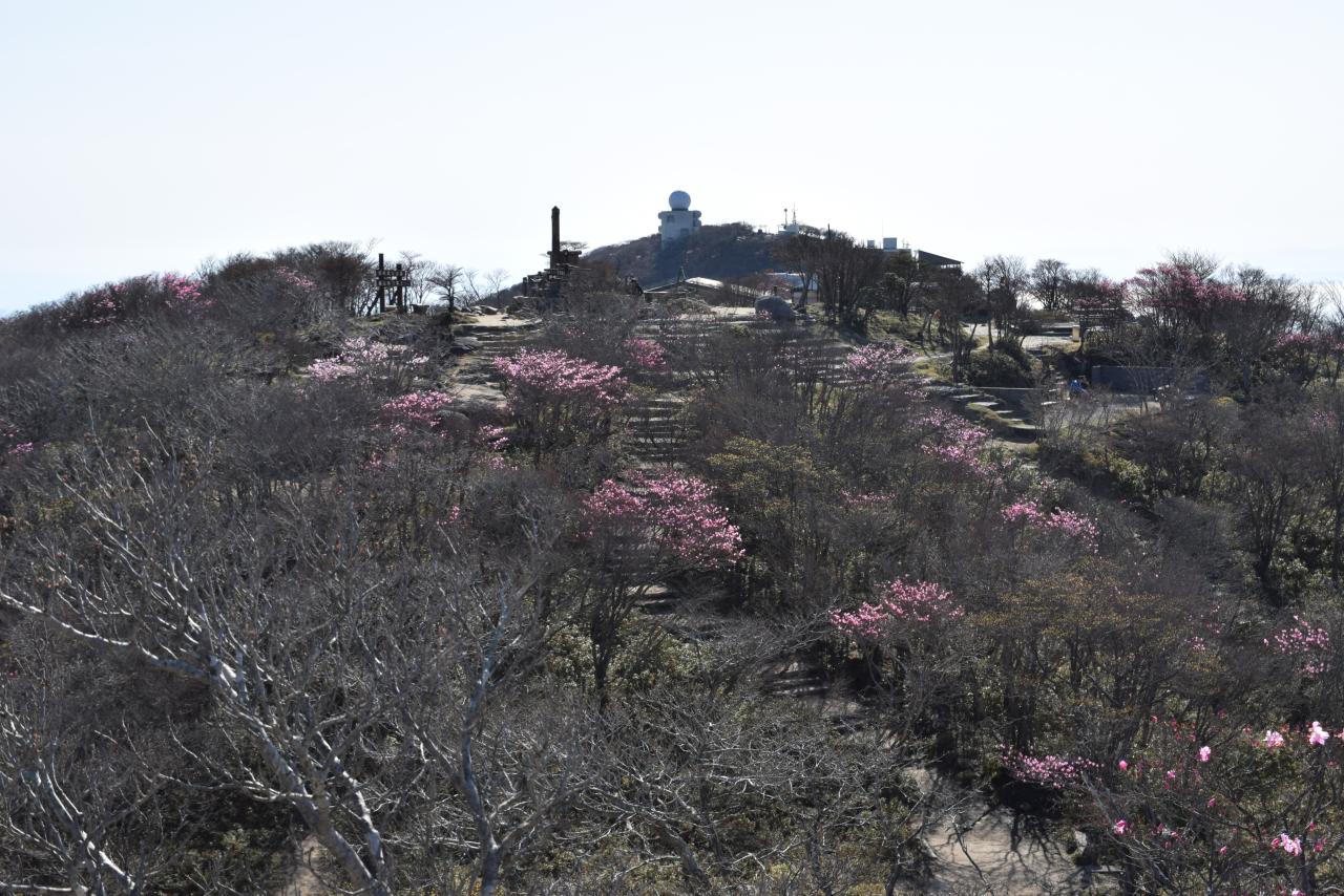 Mount Gozaisho: Ski, Trek, and Take in the View